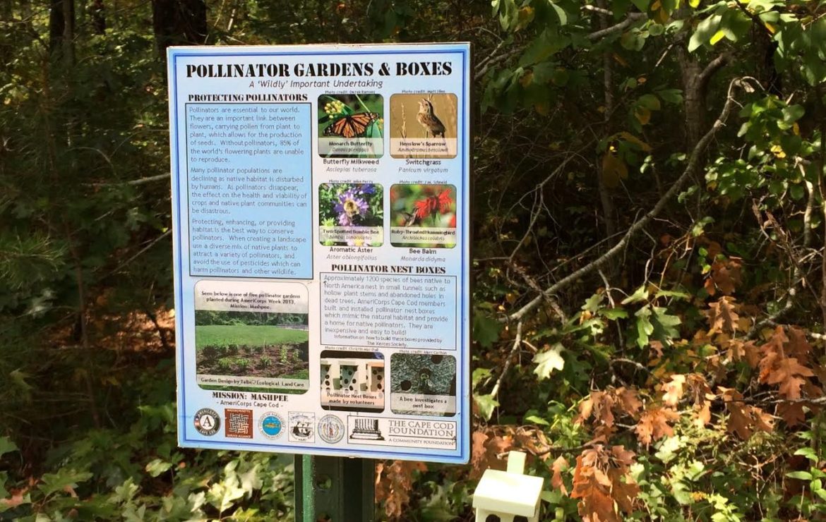 Mashpee-Native-Pollinator-sign | Friends of Mashpee National Wildlife ...