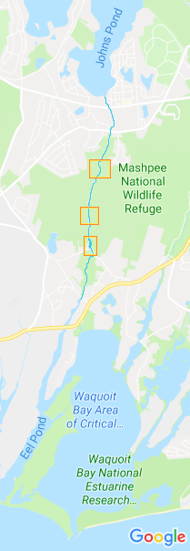 Research Site | Friends of Mashpee National Wildlife Refuge